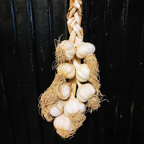 Large Garlic Braid - Karnik's Antiques & Primitives