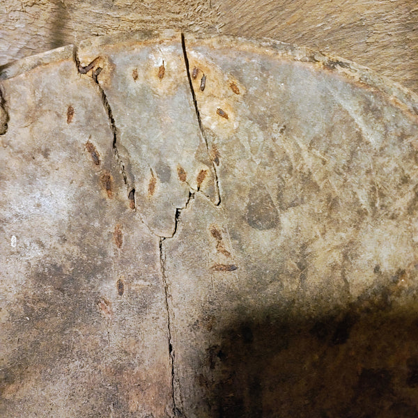 1700's Wooden Bowl Scale - Karnik's Antiques & Primitives